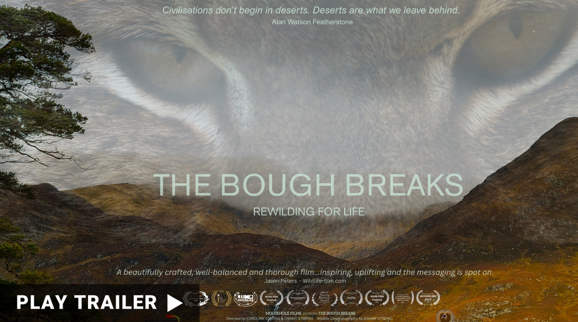 THE BOUGH BREAKS | GOOD DOCS | Documentaries - Order Now