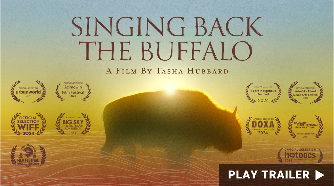 SINGING BACK THE BUFFALO | GOOD DOCS | Documentaries - Order Now